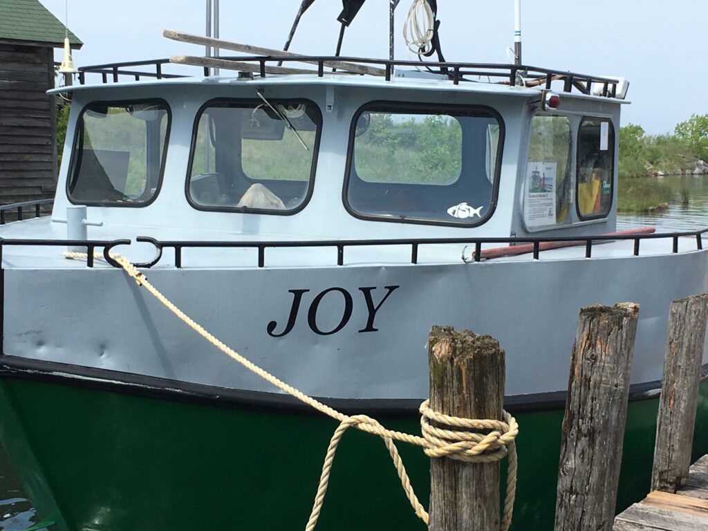 Support for You - ACMH